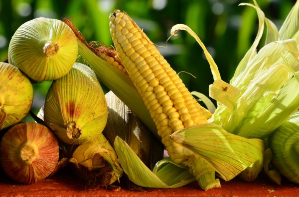 Sonsón - Puebliando por Antioquia