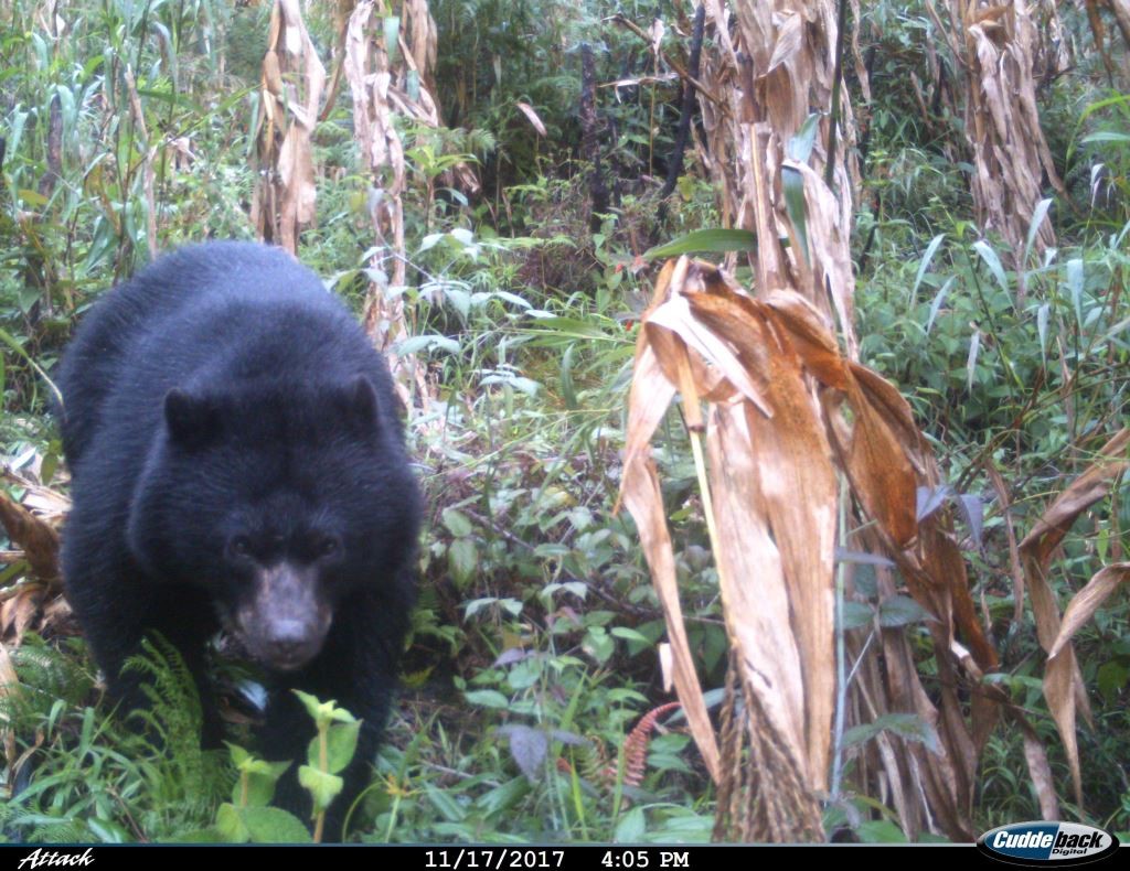 Abriaquí - Puebliando por Antioquia