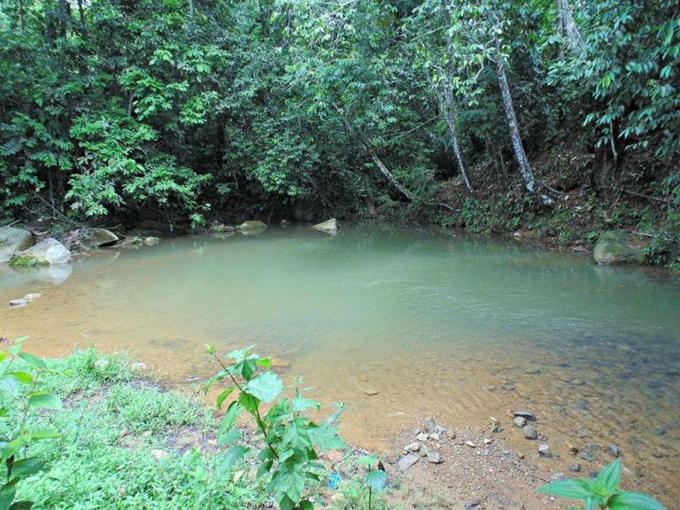 Nechí - Puebliando por Antioquia