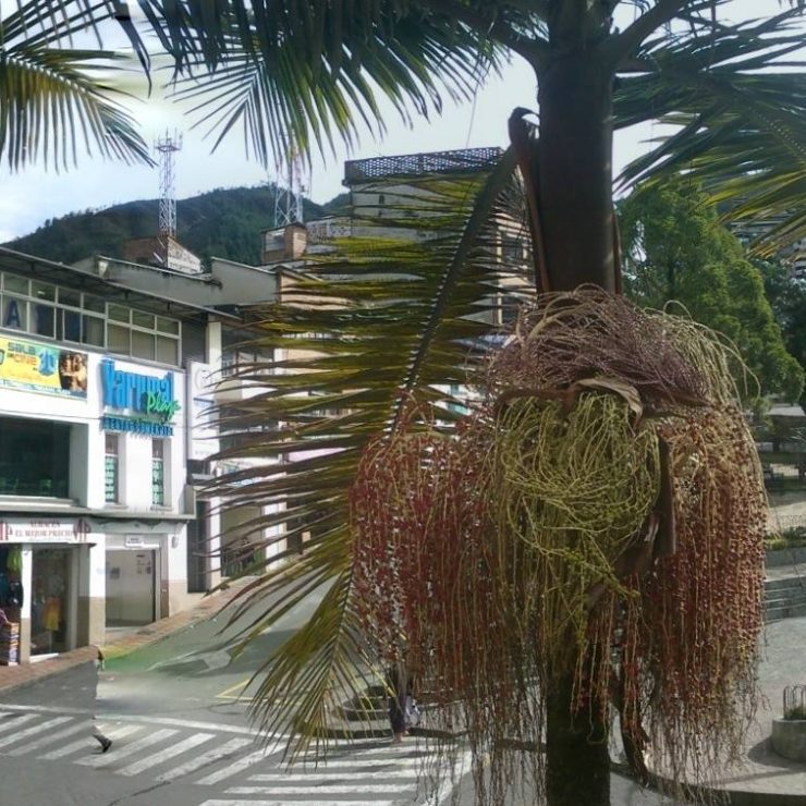 Yarumal - Puebliando por Antioquia