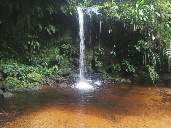 Anorí - Puebliando por Antioquia