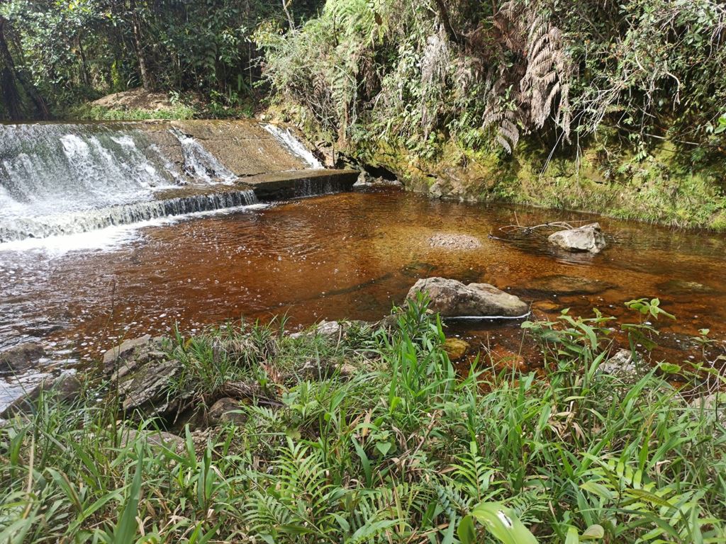 Anorí - Puebliando por Antioquia